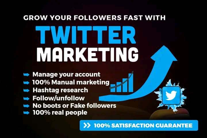 The Art of Organic Twitter Promotion: A Comprehensive Guide